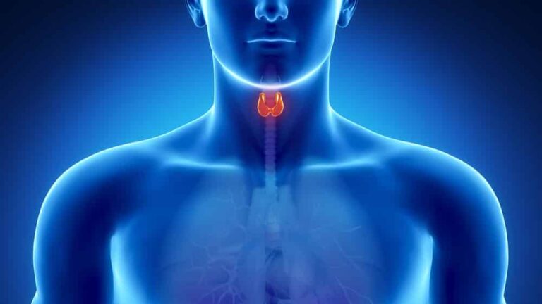 Cáncer de cabeza y cuello: tipos, síntomas y formas de adquirirlo
